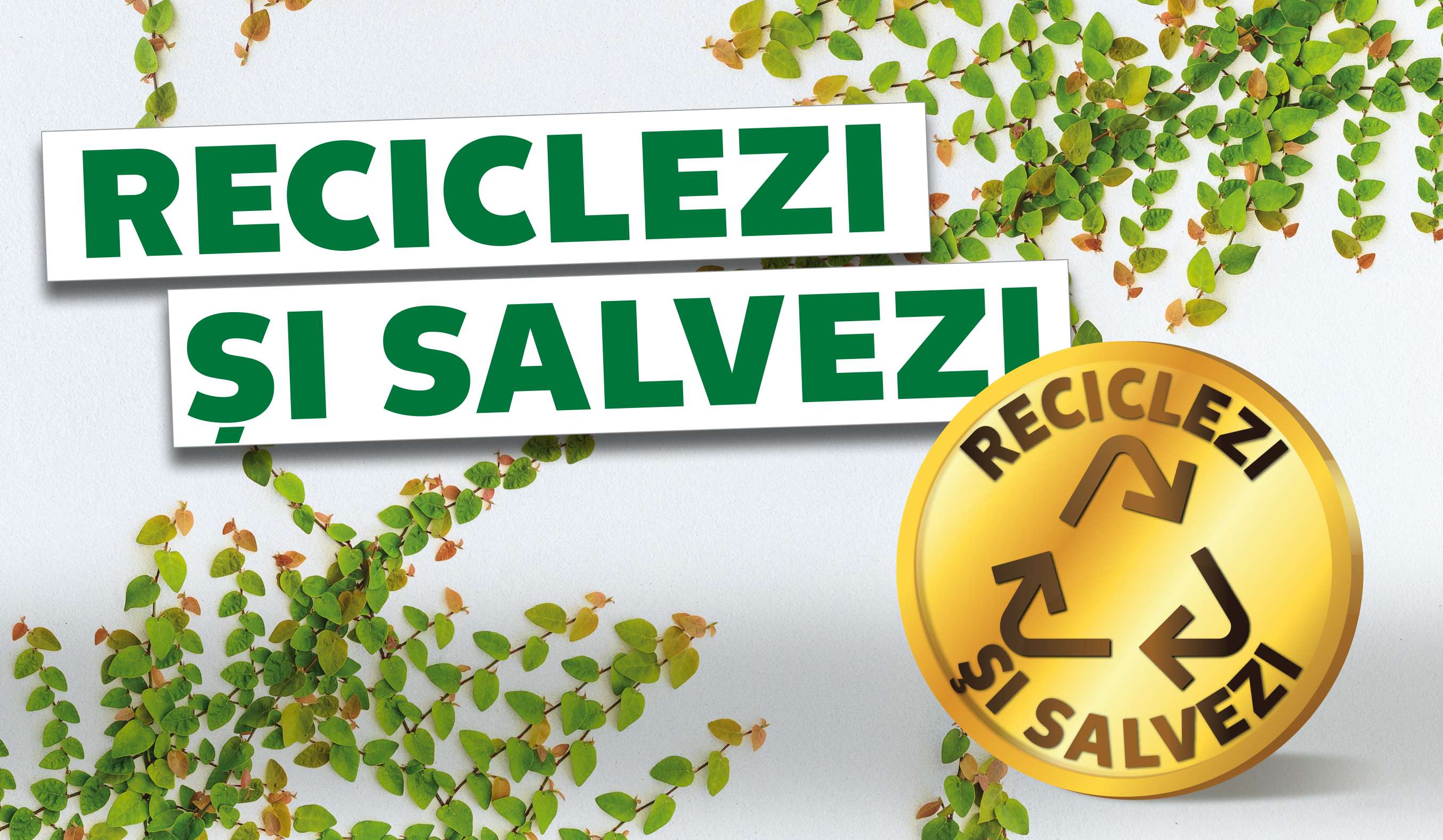 Automate de reciclare, pentru un mediu mai curat | Kaufland