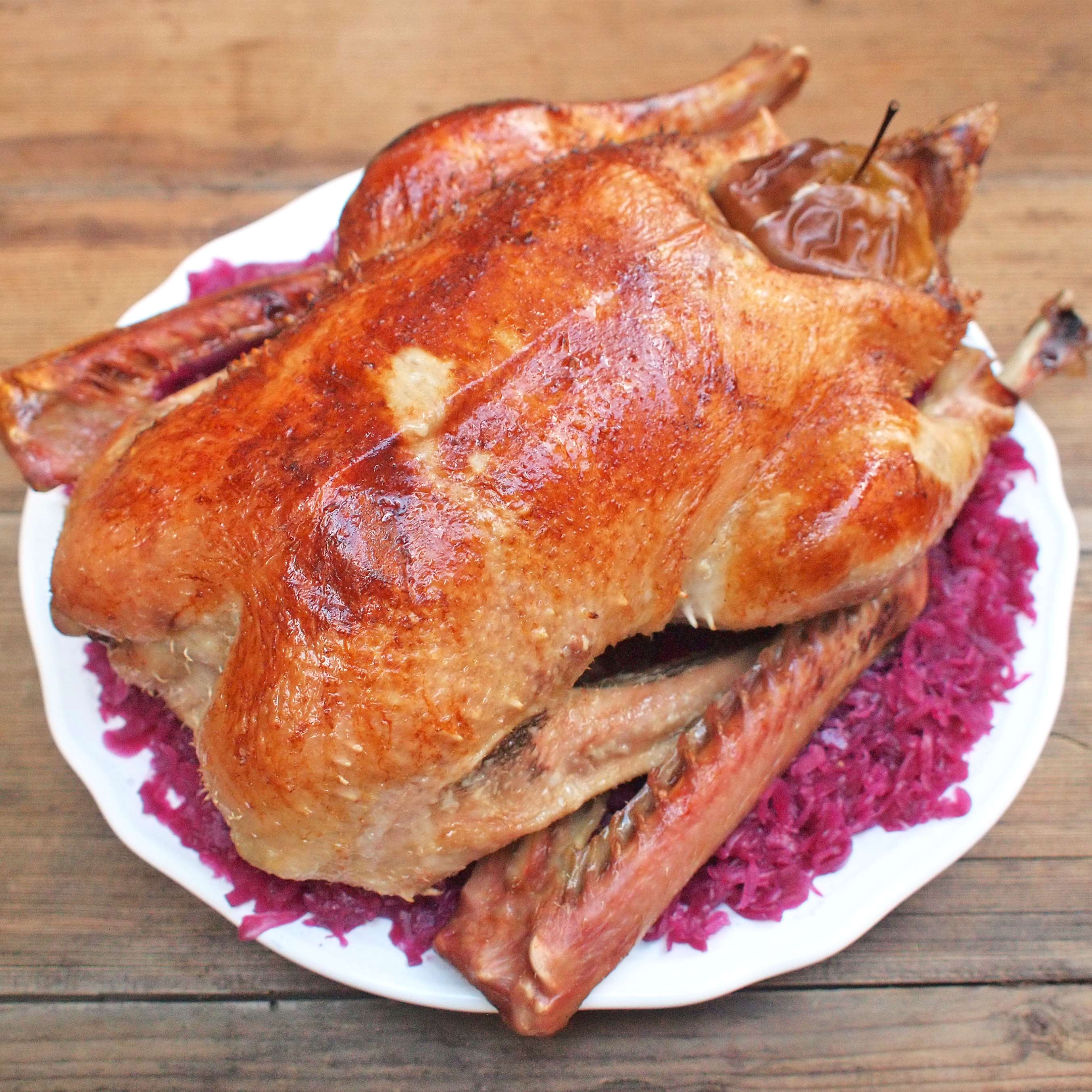 Svatomartinská husa s jablky - Recept | Kaufland