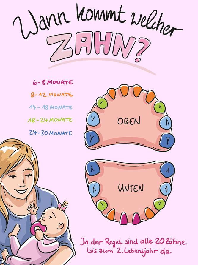 Wenn Babys zahnen: Fakten und Tipps | Kaufland